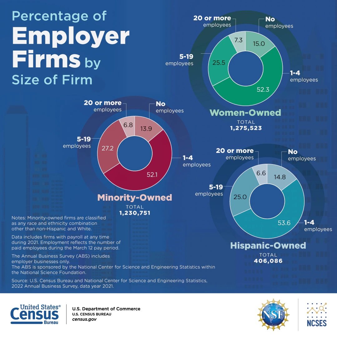New Survey Data on Minority-Owned, Veteran-Owned and Women-Owned Businesses